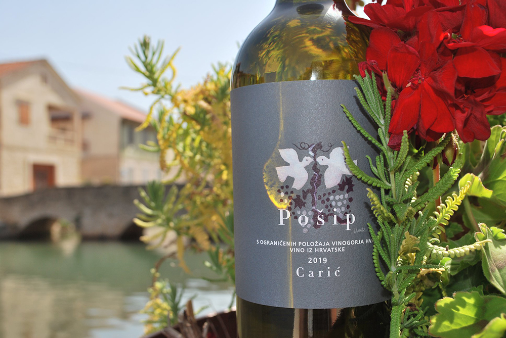 Nieuwe wijn: Vina Carić Pošip | Croatiangrapes.com
